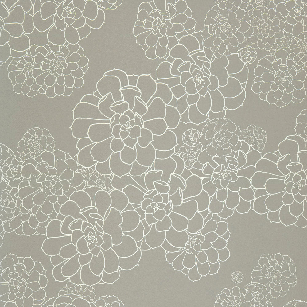 Paint & Paper Library Wallpaper Aeonium Steel