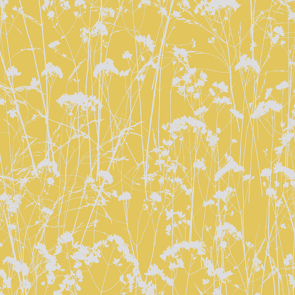 Wallpapers Grace Wallpaper Hermanus: Tailored Murals And Wallpaper