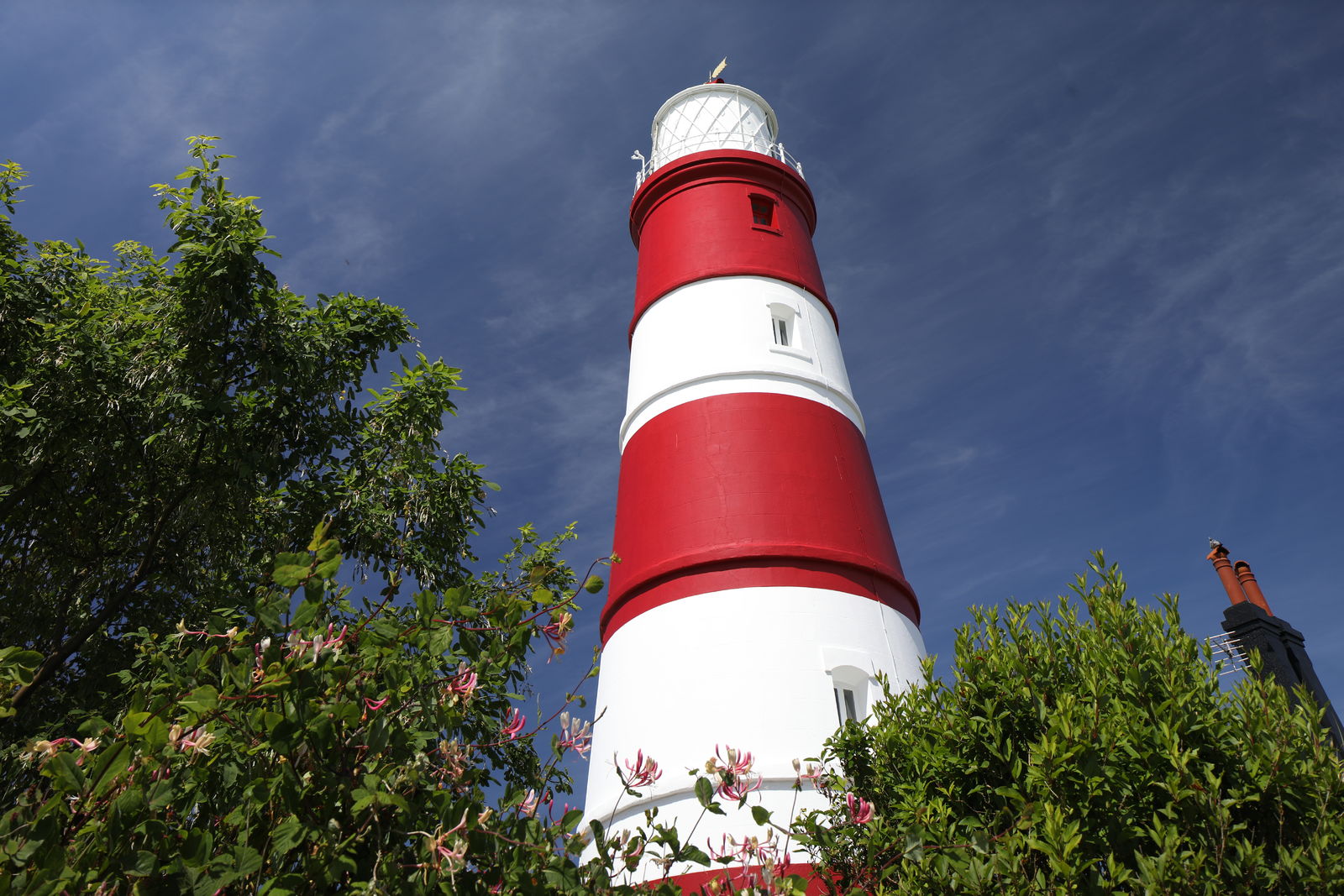 Macpherson Durable Matt